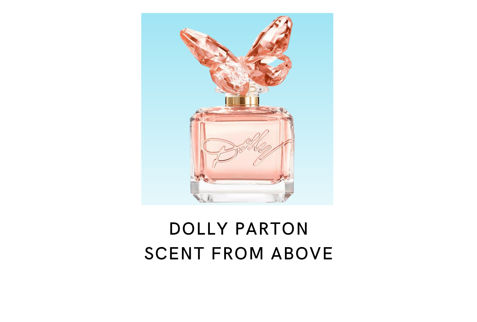 Accords – The Fragrance Foundation